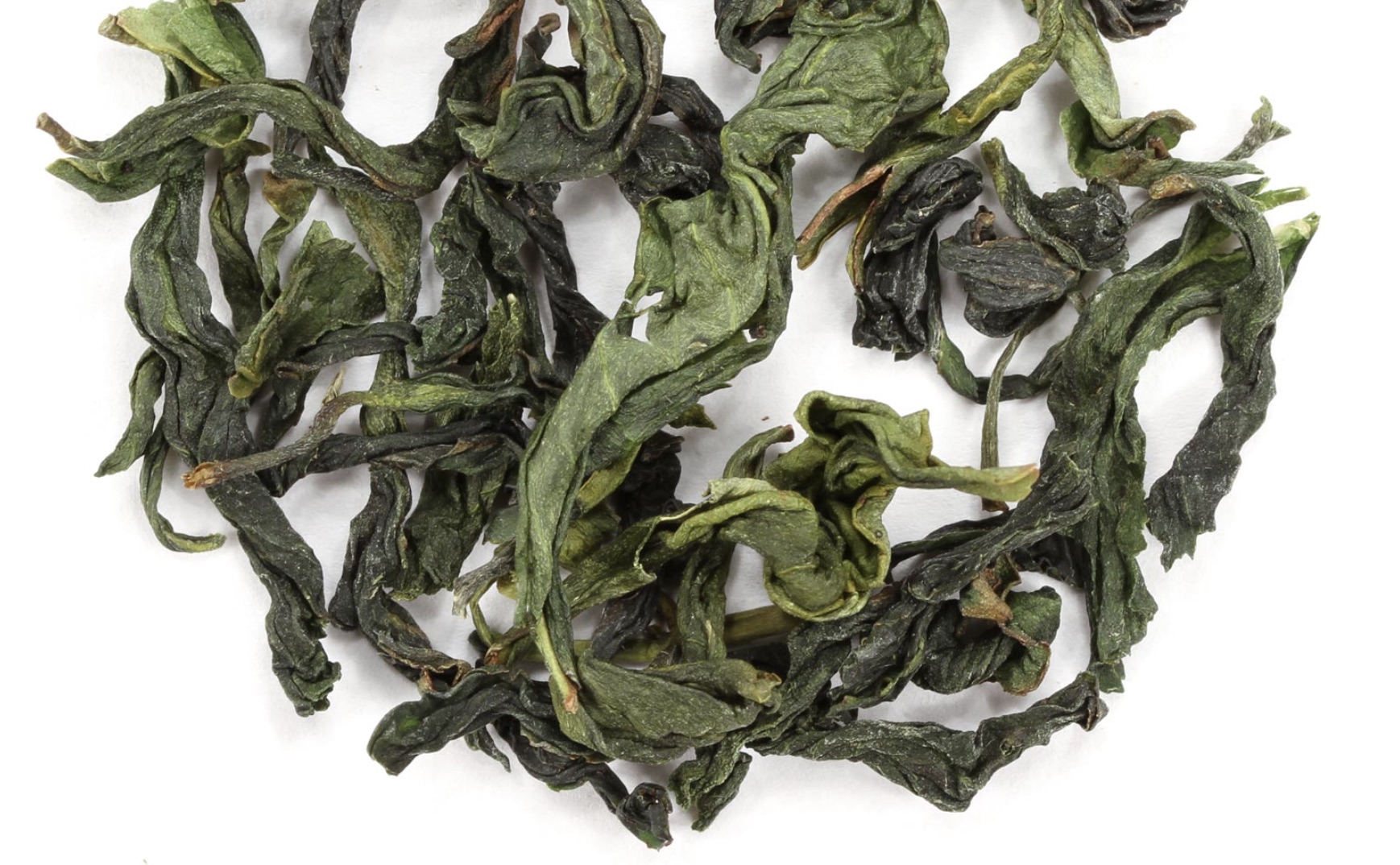 Tea From Taiwan: Formosa Pouchong Oolong | The Rocky Safari